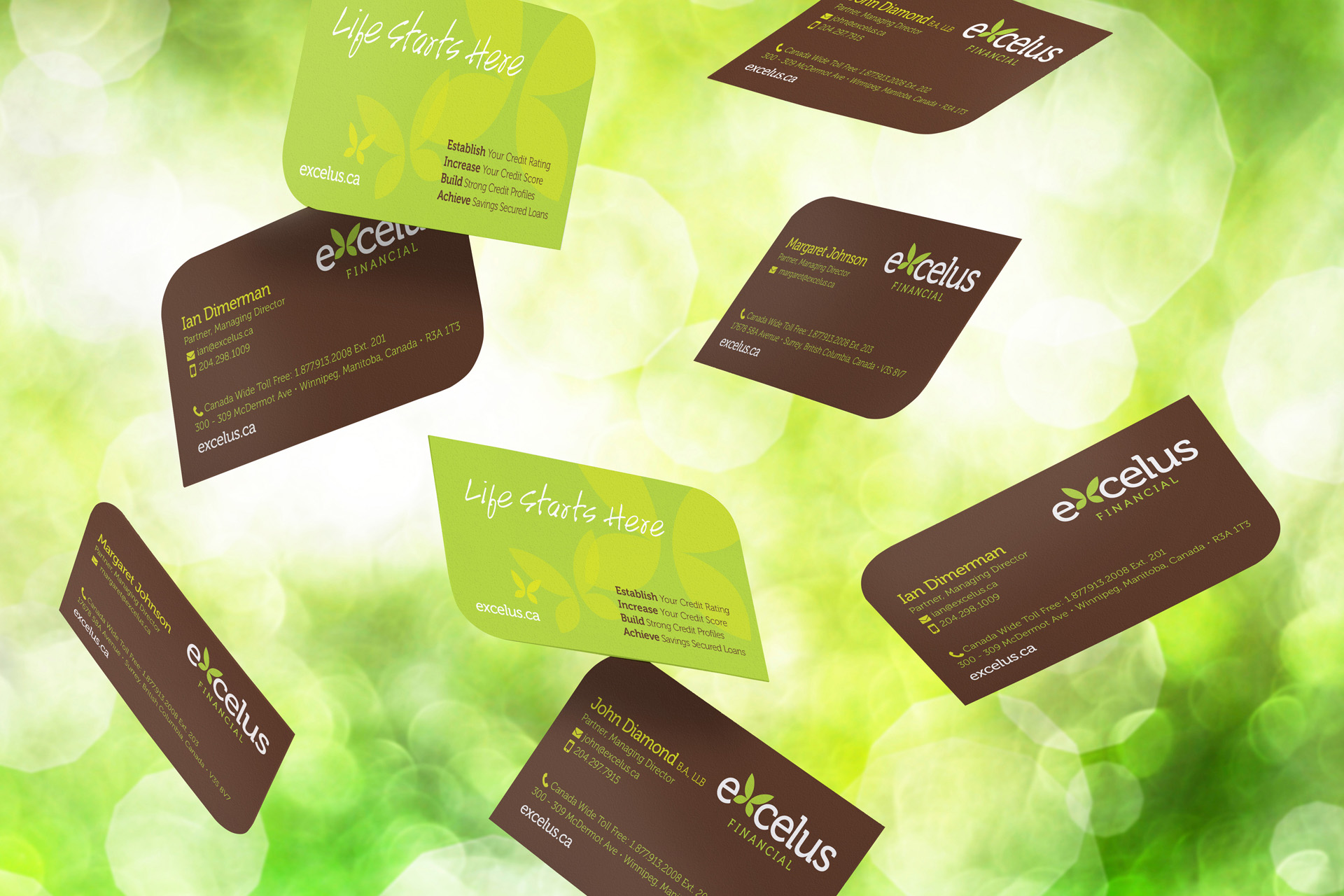 Excelus Financial – Brandioso